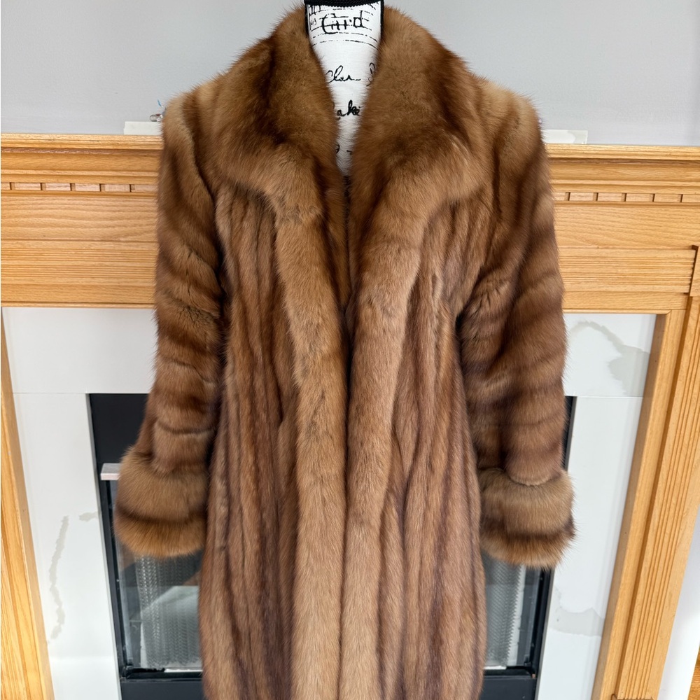 Russian Sable Amber Color Coat - Gem